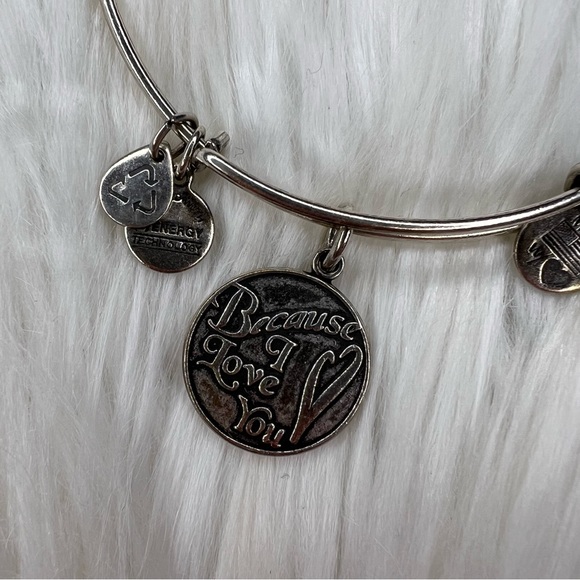 Alex and Ani | Jewelry | Alex And Ani Rafaelian Silver Because I Love You Charm Bangle Bracelet ...
